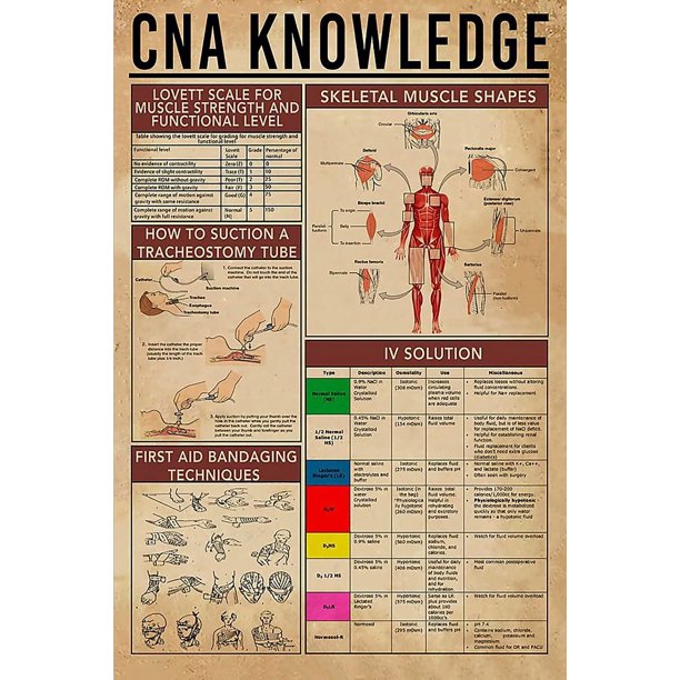 Heart Disease Knowledge Posters Ecg Rhythm Recognition And ...