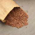 Organic Red Lentil Sprouting Seeds -2.5 Lbs - Handy Pantry Brand - Red ...