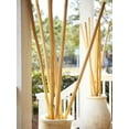 Backyard X-Scapes Natural Bamboo Poles 1" D x 72" L (25-Pack) - Walmart.com