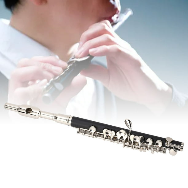 C Piccolo, Flauta Piccolo Alta Precisión Fuerte Hermeticidad Desarrolla ...