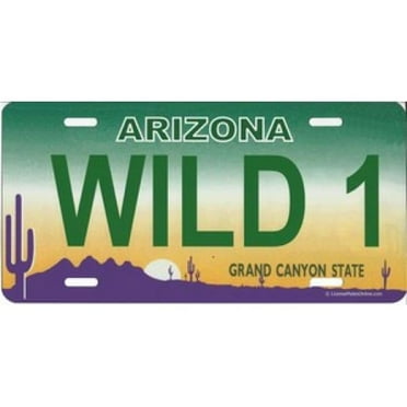 212 Main LPO597 Pheasant in Snow Photo License Plate - Walmart.com