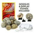 National Geographic Children's Discovery Rock Collection, 15 Premium ...