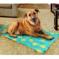Unique Petz Cat and Dog Cooling Mat-24"X36" -Pineapple Themed ...