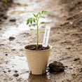 100lots Decomposable Nursery Containers Biodegradables Seedling Peat ...
