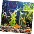 Wellsay 5 Pound Pebbles for Indoor Use, 1-2 Inch Mixed Color River ...