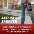 Spectracide One-Shot Weed & Grass Killer with AccuShot Sprayer, 1 ...