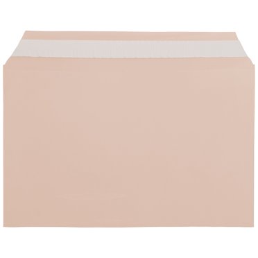 JAM Paper Cello Sleeves, 5 7/16 x 8 5/8, Light Red, 100/Pack, Peel ...