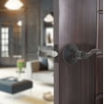 Defiant Naples Keyed Entry Lever, Keyed Entry with Mounting Hardware ...