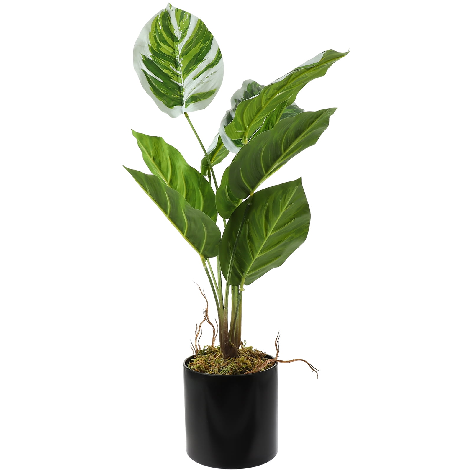 Artificial Arrowroot Plant Decor Artificial Arrowroot Plant Bonsai ...