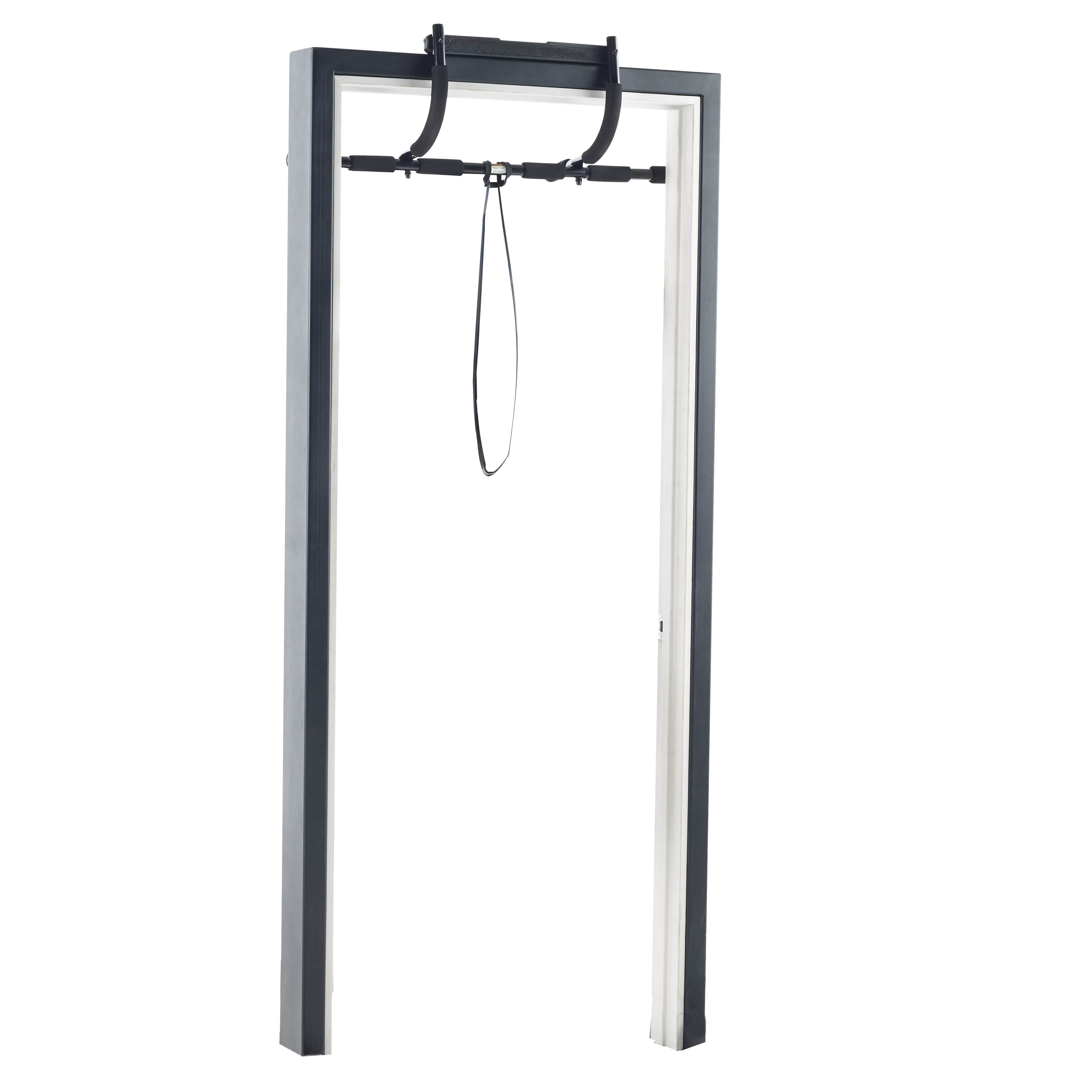 ProForm Multi-Training Door-Mounted Gym with Pull-Up Bar Assist Band ...