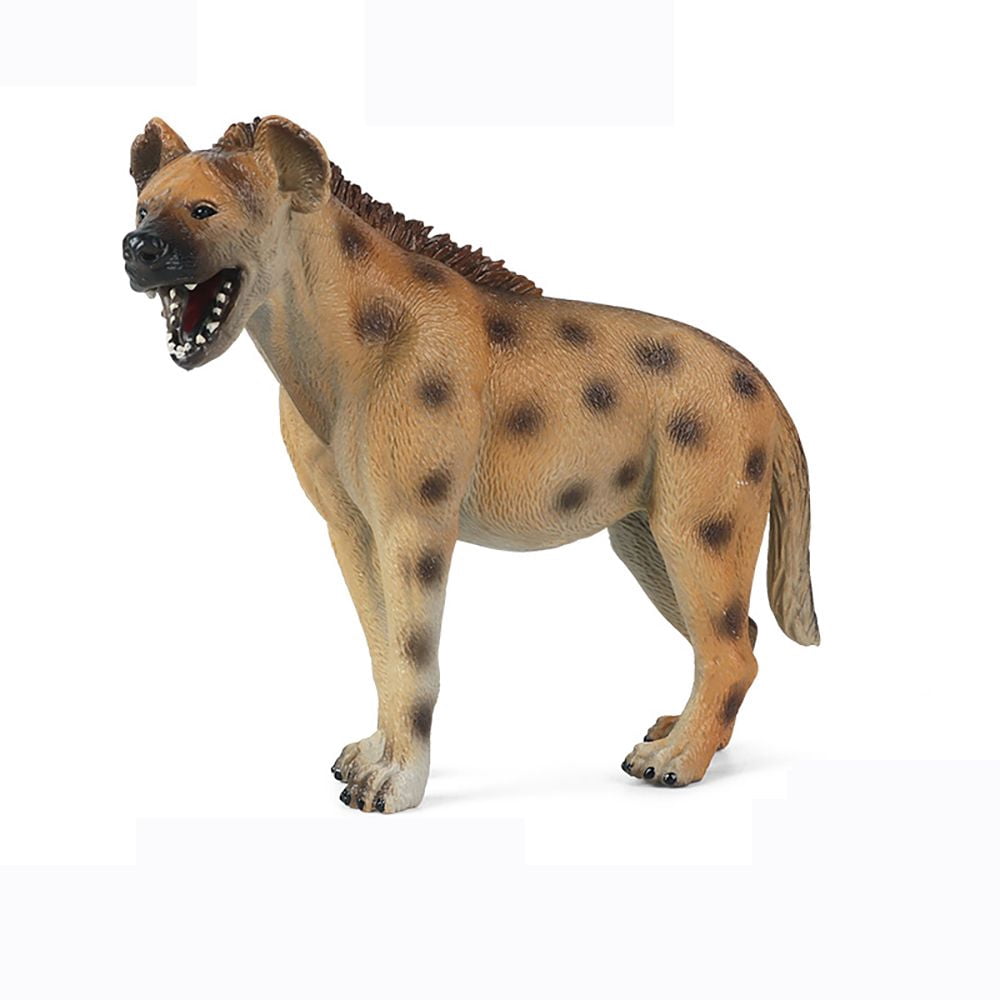 Zoo Scene Educational Toy Early Learning Science & Nature African ...