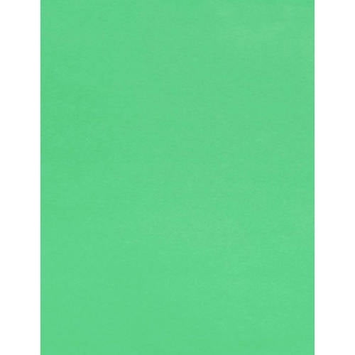 8 1/2 x 11 Paper - Bright Green (250 Qty.) - Walmart.com - Walmart.com