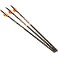 Ravin Crossbow .003 Lighted Arrows, Three Pack - Walmart.com