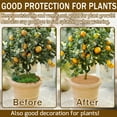 ZeeDix 3 Pcs Coconut Fibers Mulch Ring Tree Protector Mat, 17.8 Inch ...