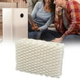 2 Pack Air Filter WF813 Compatible ReliOn Humidifier Replacement Filter ...