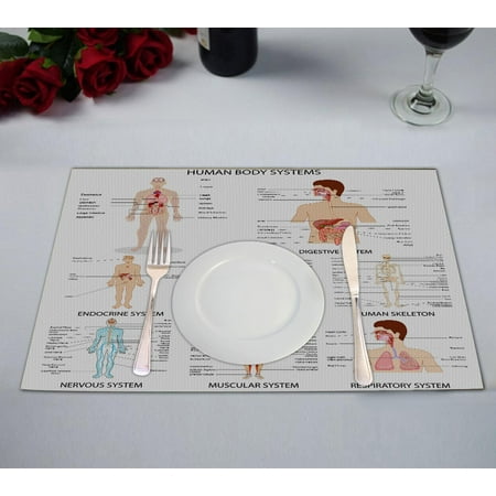 HATIART Complete Chart Different Human Organ System Placemat 12x18 Inch ...