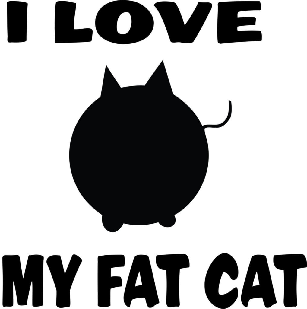 Do It Yourself Wall Decal Sticker I Love My Fat Cat 10x10" - Walmart.com