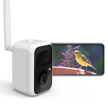 Birdfy Smart Bird Feeder with Camera for Bird Feeding and Watching - 1. ...