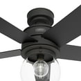 Hunter 52 inch Xidane Matte Black Ceiling Fan with LED Light Kit and ...
