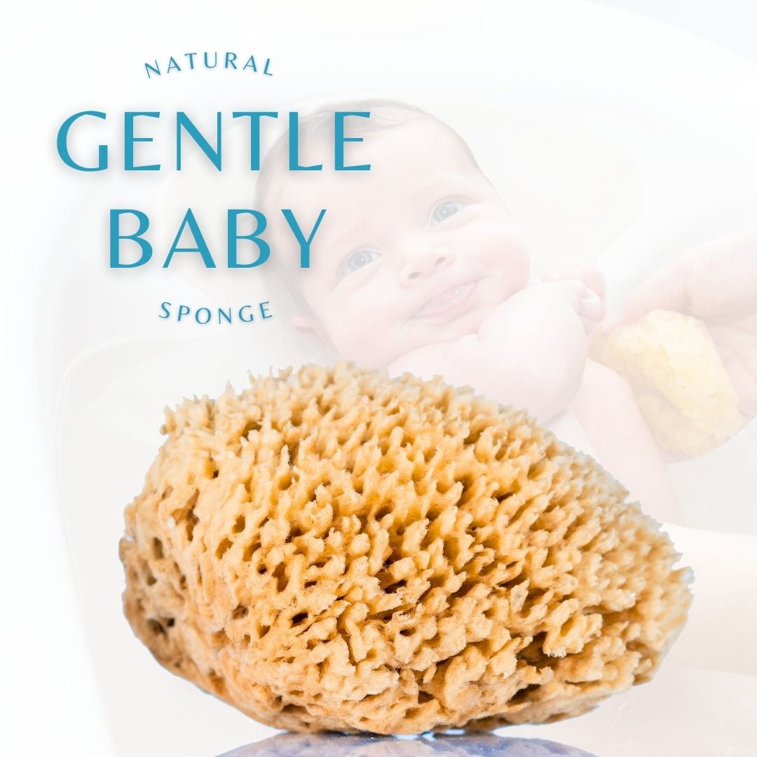 Click here for Lather Green Natural Baby Sponge  Eco-Friendly  So... prices