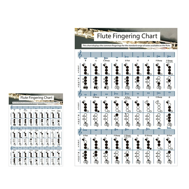 Flute Chords | ppgbbe.intranet.biologia.ufrj.br