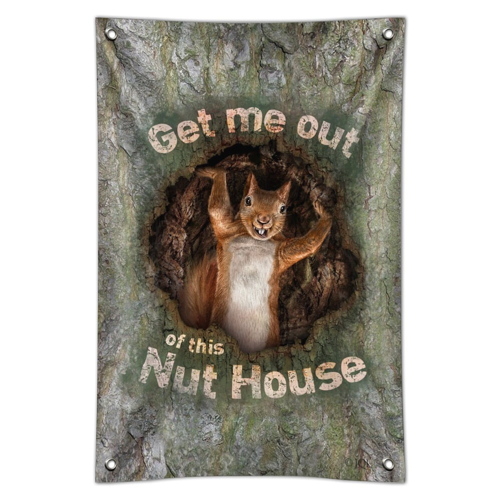 Get Me Out of this Nut House Crazy Funny Home Business Office Sign ...