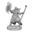 WizKids Pathfinder Battles: Legendary Cuts Male Human Wizard - Walmart.com