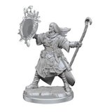 WizKids Pathfinder Battles: Legendary Cuts Male Human Wizard - Walmart.com