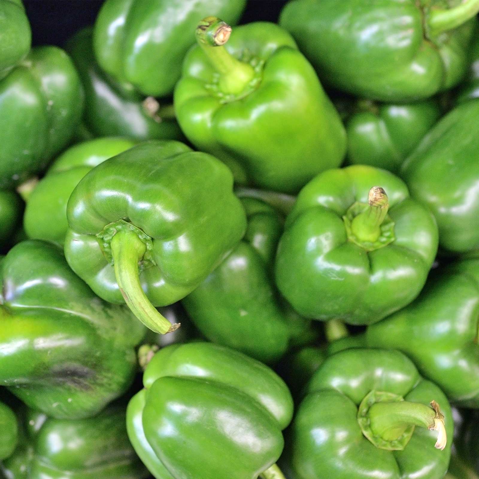 Everwilde Farms - 25 Organic Pimento Sweet Pepper Seeds - Gold Vault ...