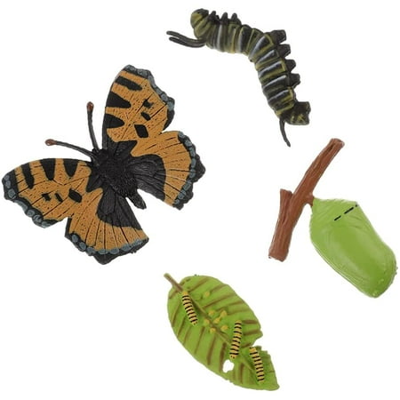 3 Sets Insect Life Cycle Figures Butterflies Statue Cake Topper Growth ...