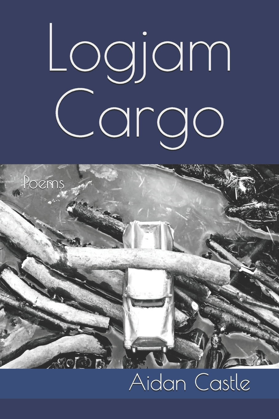 Logjam Cargo: Poems (Paperback) - Walmart.com