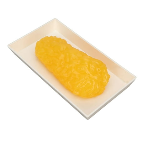 Fatty Tissue Model, 1lb Safe Plastic Fat Replica For Gymnasium ...