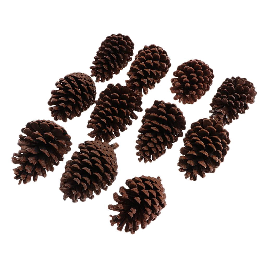 10pcs Natural Cones for Parties Decoration/Holiday Embellishments ...