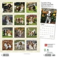 Cavalier King Charles Spaniels | 2024 12x24" (Hanging) Wall Calendar ...