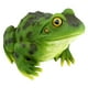 Design Toscano Ribbit the Frog Garden Toad Statue, 9 Inch, Polyresin ...