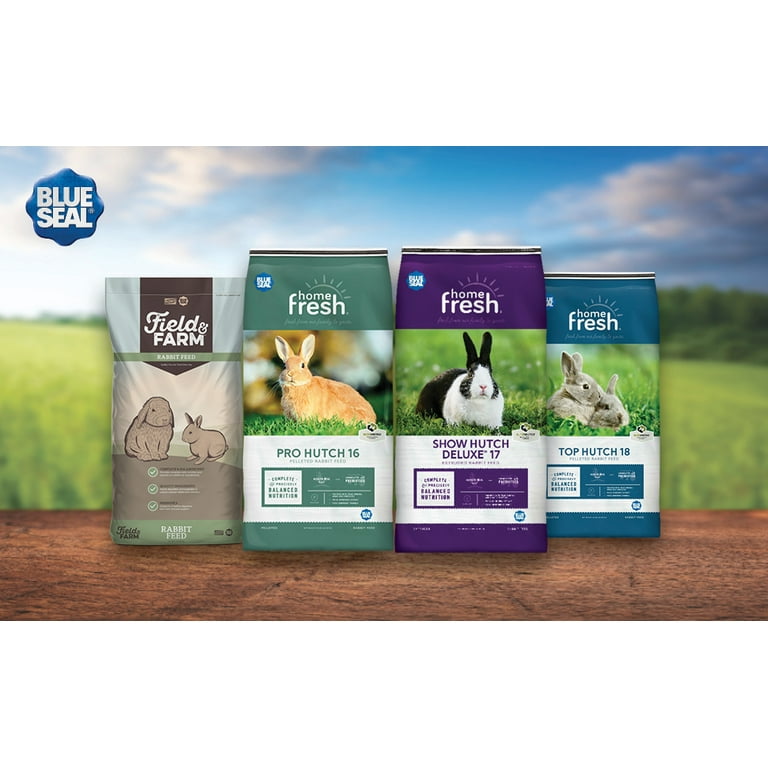 Kent Show Hutch Deluxe 17 at Petra Hendrickson blog