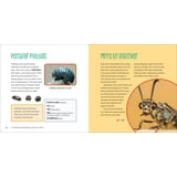 The Weird and Wonderful World of Bugs: A Book about Beetles ...