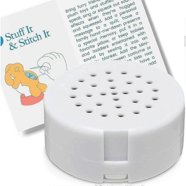 The newest VoiceGift Mini-Me for 2025, a mini voice recorder with 60 ...