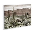 Stupell Industries Desert Land Cacti Wilderness Wall Plaque Art, design ...