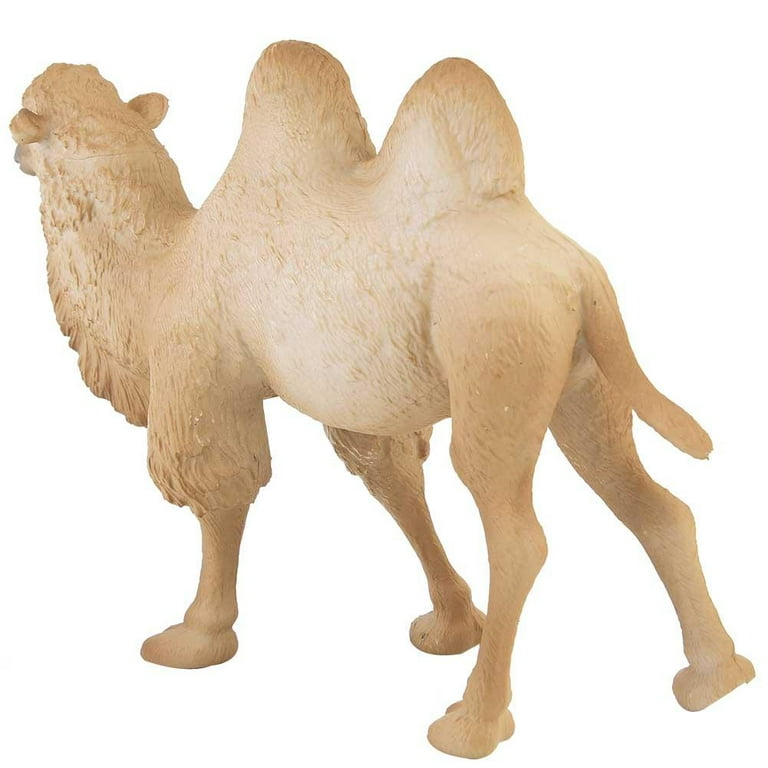 Miniature Camel