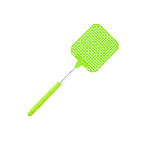 Giant Fly Swatter