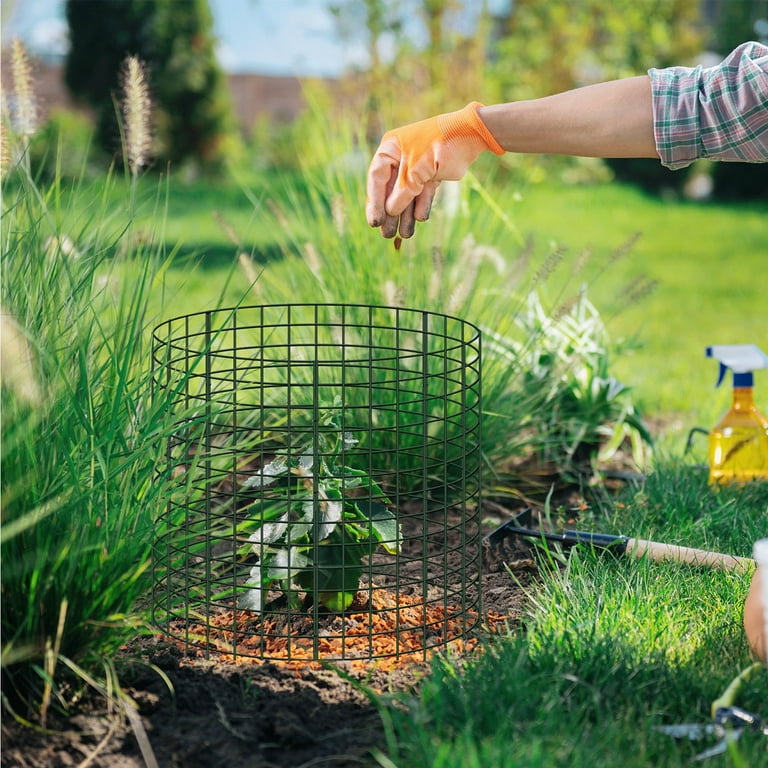 Plant Protector Cages 6 Pack 18" - Metal Garden Cloche With Stakes To ...