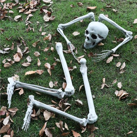 Wweixi Creepy Halloween Skeleton Set Full Body Skeleton for Halloween ...