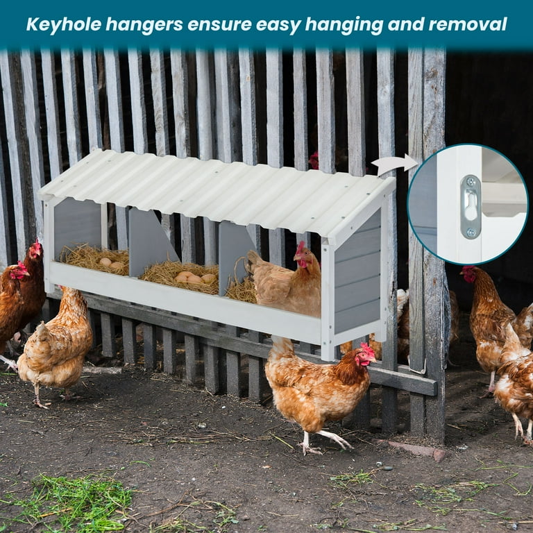 Ideal Chicken Nesting Box Size