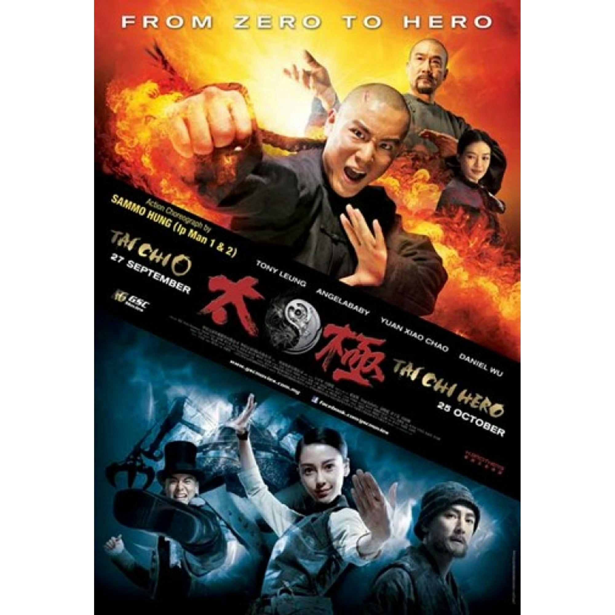 Tai Chi Hero Dvd Cover