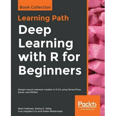 Introduction to Deep Learning Using R: A Step-By-Step Guide to Learning ...