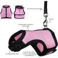 GYTY Rabbit Harness and Leash Set - Adjustable Escape-Proof Training ...