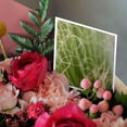 3drose, Palm Leaf Frond Abstract Photography Macro, 6 Greeting Cards ...