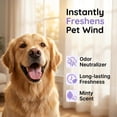 Pet Oral Spray for Dogs and Cats, 100ml Pet Dental Care Spray for Fresh ...