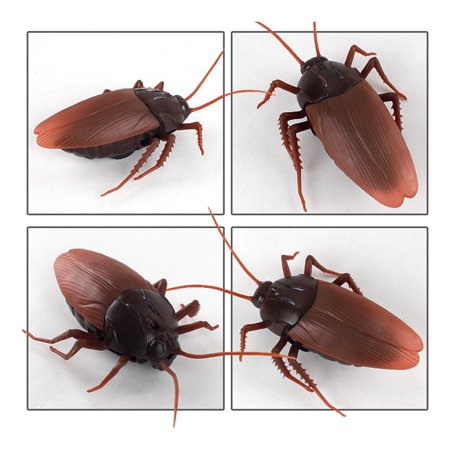 Remote Control Mock Fake Cockroach Toy Halloween Spider Ant Prank ...